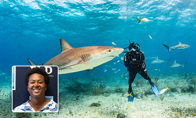 Candace Fields: Bahamian scientist returns home to lead shark research | The Tribune